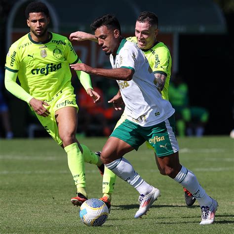 Veja Fotos Do Jogo Treino Do Palmeiras Deste Sábado Gazeta Esportiva