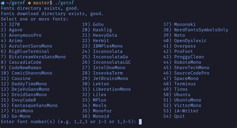安裝 Neovim 與 Nerd Fonts Imp1ication