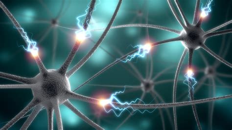 Why So Many Neuroscientists Are Unreflective Materialists Mind Matters