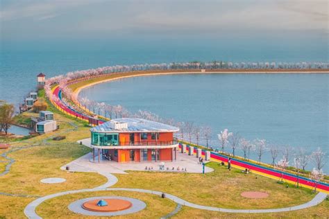 九江八里湖新区：春季赏花引领赛城湖旅游新风尚凤凰网江西凤凰网