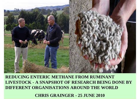 Pdf Reducing Enteric Methane From Ruminant Livestock A
