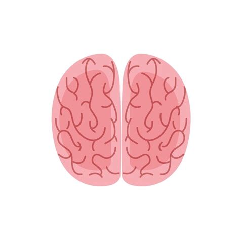 Art Illustration Design Concept Anatomie Corps Symbole Humain Icône