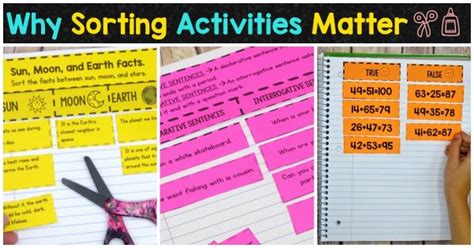 Why Sorting Activities Matter Where The Magic Happens