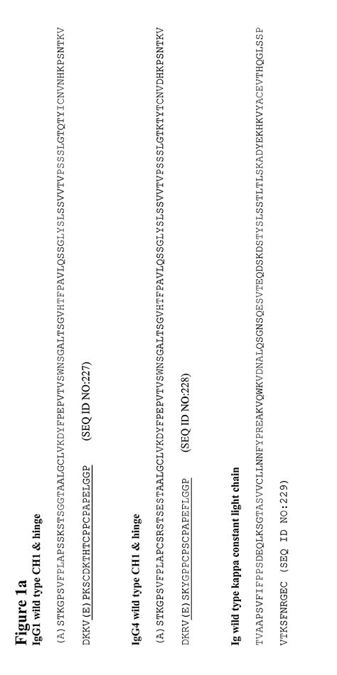 Sequence Symmetric Modified Igg4 Bispecific Antibodies Eureka