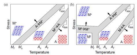 1 Schematic Phase Diagrams Of Constitutive Shape Memory Models A Download Scientific