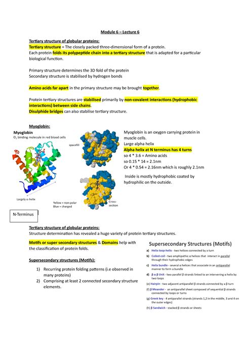 Module 6 Lecture 6 Biochemistry Module 6 Lecture 6 Tertiary