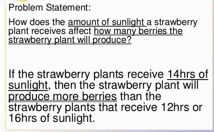 Variables Flashcards Quizlet