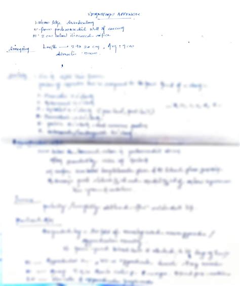 Solution Vermiform Appendix Anatomy Studypool