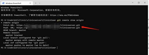 强强的个人技术博客 怎么查看Git项目的远程仓库