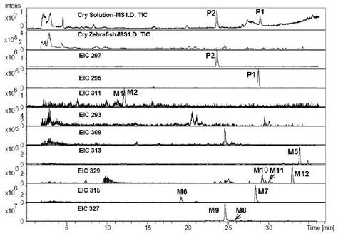 Total Ion Chromatogram And Extracted Ion Chromatograms For Cry After