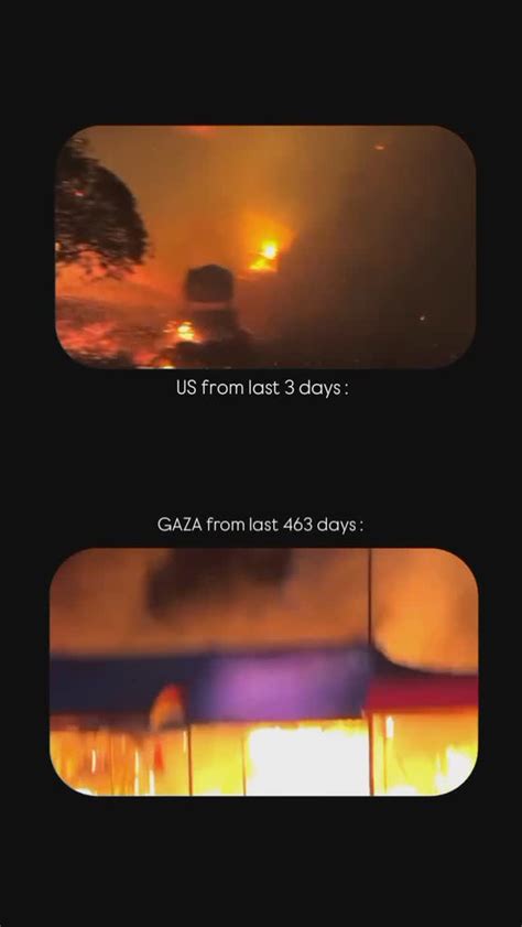 Fayez Alshrafi🇵🇸 Fayezpalestine • Instagram Photos And Videos