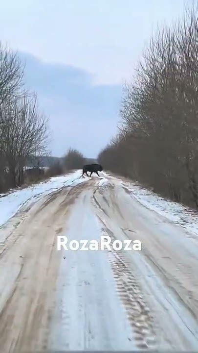 Shortvideo сильныесловасосмыслом Motivation деревня бам Не перестаю удивляться какая красота