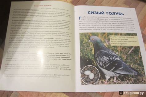 Книга: Птицы - Василий Вишневский. Купить книгу, читать рецензии | Лабиринт