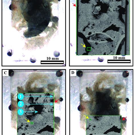 3 Embry And Klovan 1971 Classification Modified Dunham Download Scientific Diagram