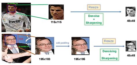 Multi Branch Network For Imagery Emotion Prediction
