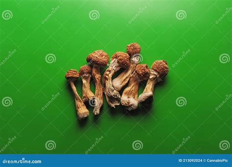 Dry Psilocybin Mushrooms On Green Background Psychedelic Magic