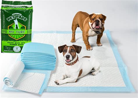 MY TURF Puppy Ultra Absorbent Training Pads For Dogs With 6 Layer ...