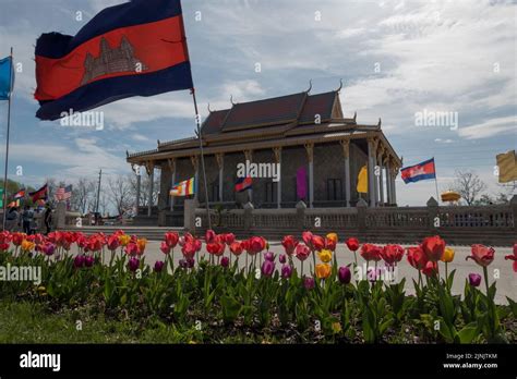 Colorful Tulips And The Cambodian Flag With The Khmer Temple And Other