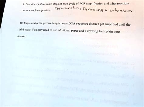 Solved Describe The Three Main Steps Of Each Cycle Of Pcr