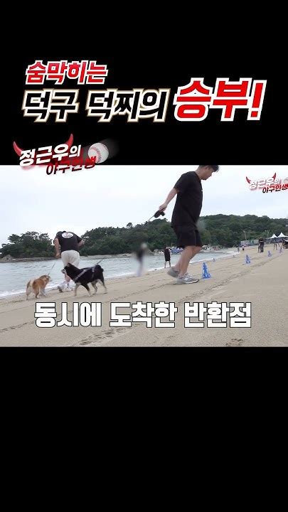 덕구와 덕찌의 숨막히는 대결 정근우 덕구 Youtube
