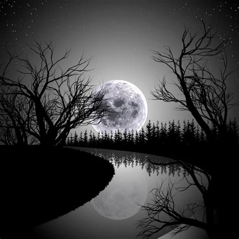 Premium Vector Landscape Moonlit Night In The Forest Abstract Vector