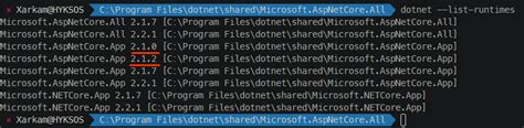 Remove Old Sdk Cant Remove All Old Runtime · Issue 3404 · Dotnet