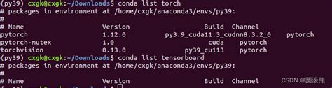 Ubuntu Slowfast Python No Module Named