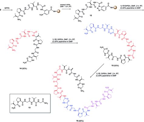 Preparation Of Elastin Peptide Through Ligation Using Bt Resin
