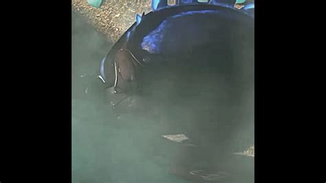 Toothless The Alpha Httyd Youtube