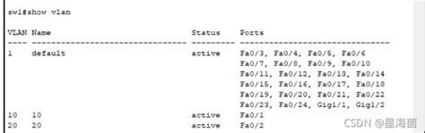 计网实验：单臂路由实现vlan之间的通信详解 cisco packet tracer packet tracer 配置单臂路由器