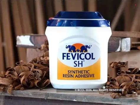 Pidilite Wipro Among 8 Stocks That Are Ready To Rally In The Near Term