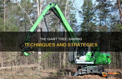 The Giant Tree Sawing Techniques And Strategies Shuntool