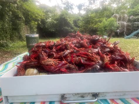 Shellfish Serving Platter Low Country Boil Tray Made In Usa