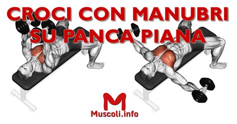 Croci Con Manubri Su Panca Piana Esercizio Per Pettorali Muscoli Info