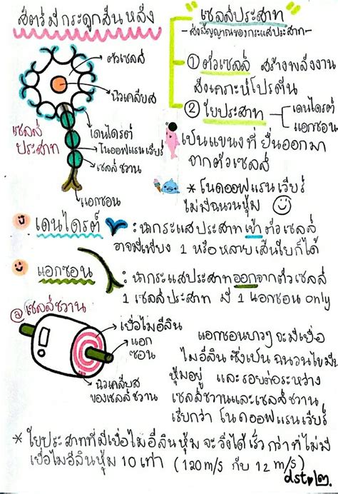 ระบบประสาท Clearnote