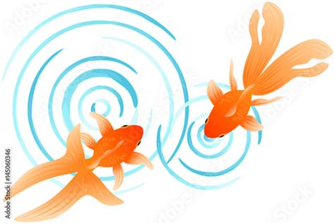 波紋と金魚 Fotolia の ストック写真とロイヤリティフリーの画像 Pic 145060346