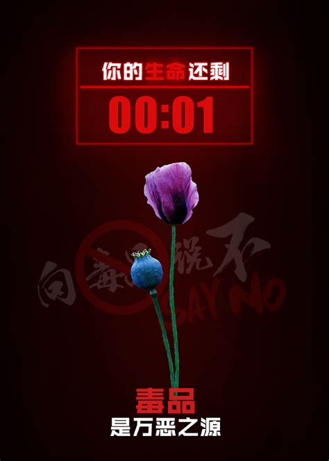一分钟禁毒公益广告海报cdan 站酷zcool