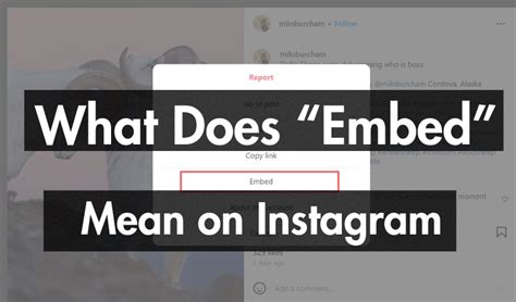 What Does Embed Mean On Instagram