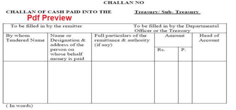 Assam Treasury Challan Form Pdf Treasury Challan Format Download