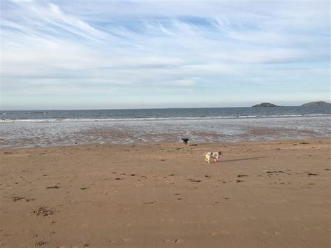 Yellowcraig Beach 2019 Dirleton Everything You Need To Know Before