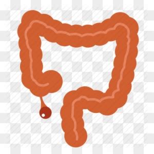 Appendicitis Is Why You Should Get Medical Card Insurance Appendix