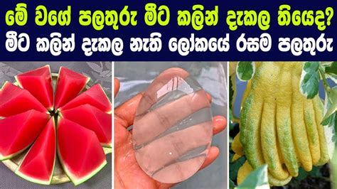 මේ වගේ පලතුරු මීට කලින් දැකල තියෙද මීට කලින් දැකල නැති ලෝකයේ රසම