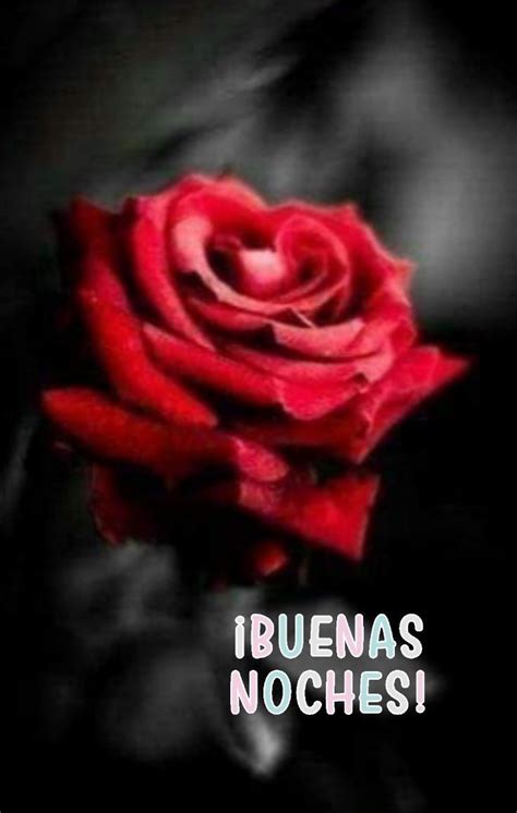 Pin De Heidimichi En Buenas Noches Buenas Noches Noche