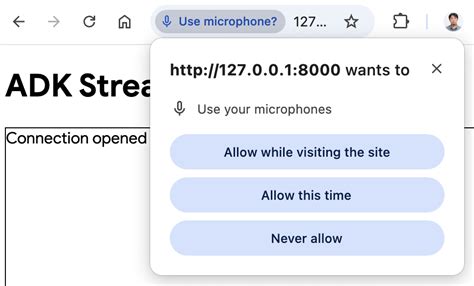 Custom Audio Bidi Streaming App Sample WebSockets Agent Development Kit