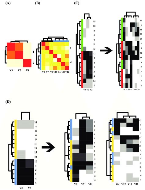 Mutual Conditional Entropy Matrices And Two Information Flows On Bird