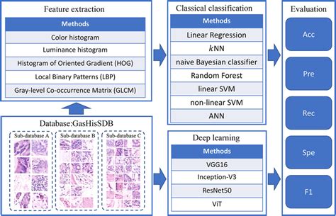 Workflow Of The Complementarity Comparison Experiment Download