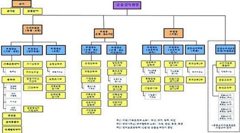 금감원 38국 13실 체계로 개편소비자 보호 기능 강화 뉴스1