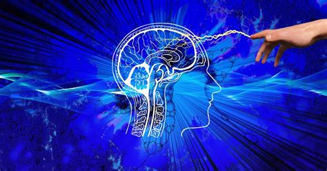 A Look At The Top Hacking Friendly Languages Of Fanieltech