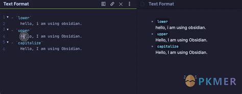 Obsidian Text Format