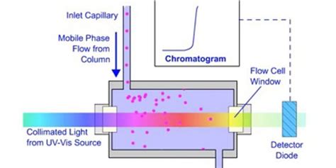 Hplc Detectors Thermo